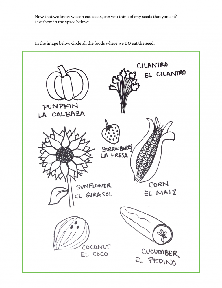 #TWKatHome Activity: Seeds and Plants - TasteWise Kids